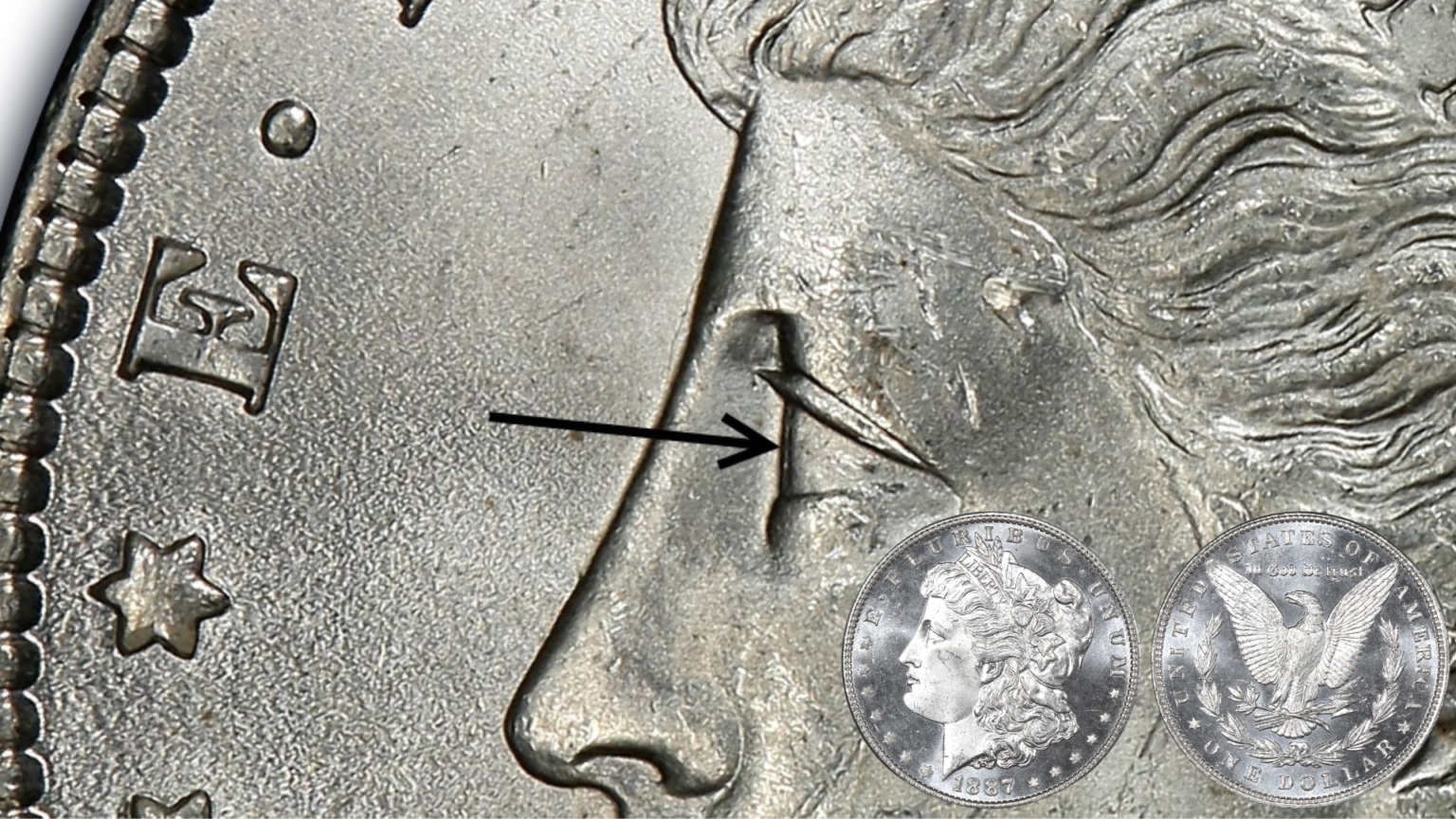 What Are Morgan Dollar Errors? Varieties And Value - The Collectors ...