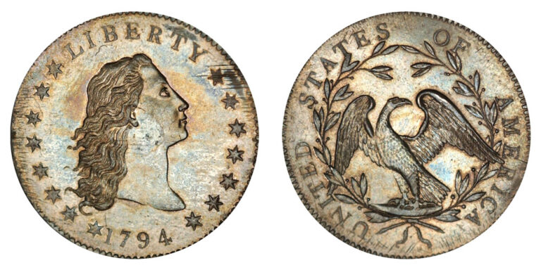 Flowing Hair Dollar: Do You Need This In Your Collection? - Grand Collector