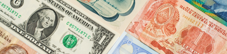 What Is A Coin Collector Called? Find Out More About The Fascinating ...