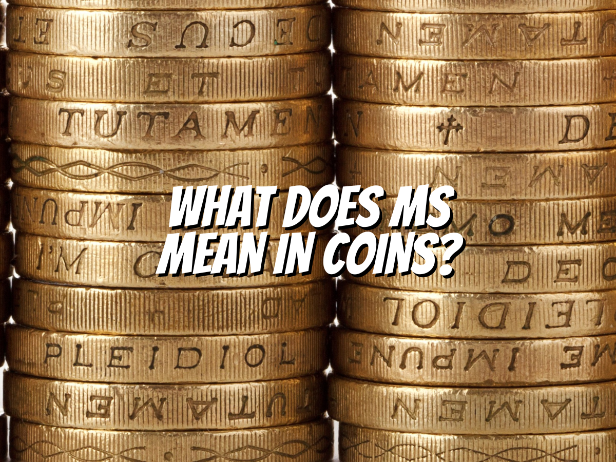 What Does MS Mean In Coins The Collectors Guides Centre What Does MS Mean In Coins The Collectors Guides Centre