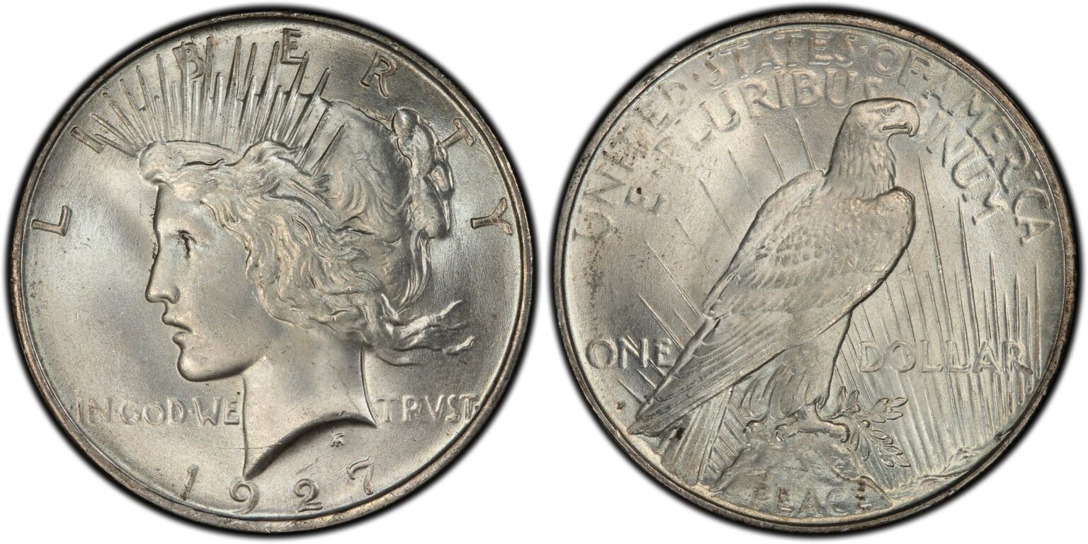 Top 9: Rare Peace Dollars! - The Collectors Guides Centre